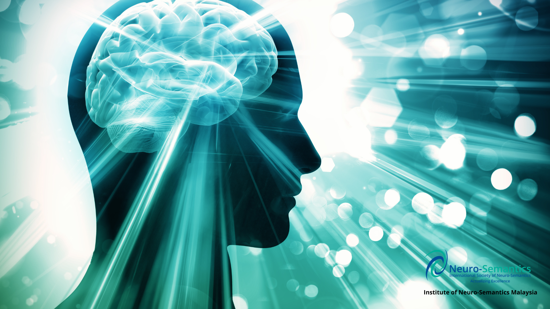 The Art of Truly Learning the Meta-Model – Institute of Neuro-Semantics ...
